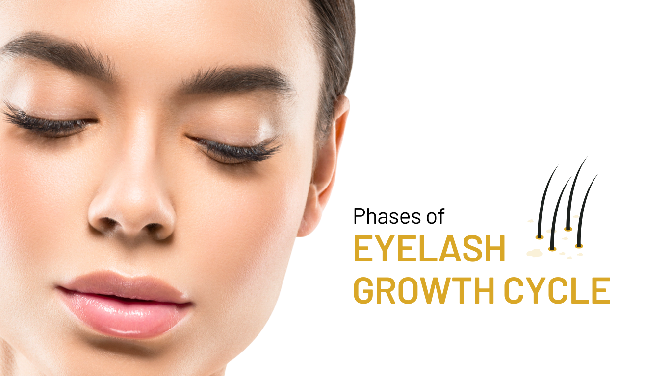 The Eyelash Growth Cycle: A Comprehensive Guide